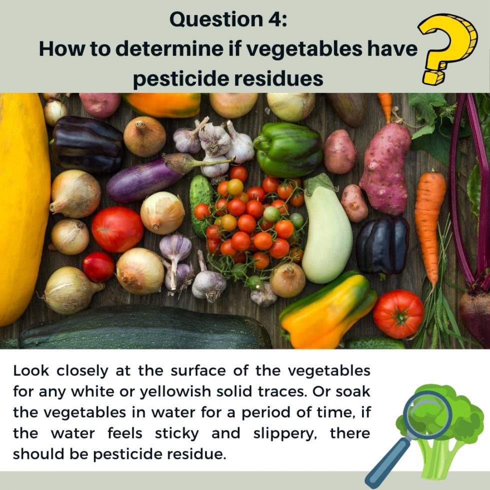 Top 3 natural and organic pesticide that can be used at home gardening