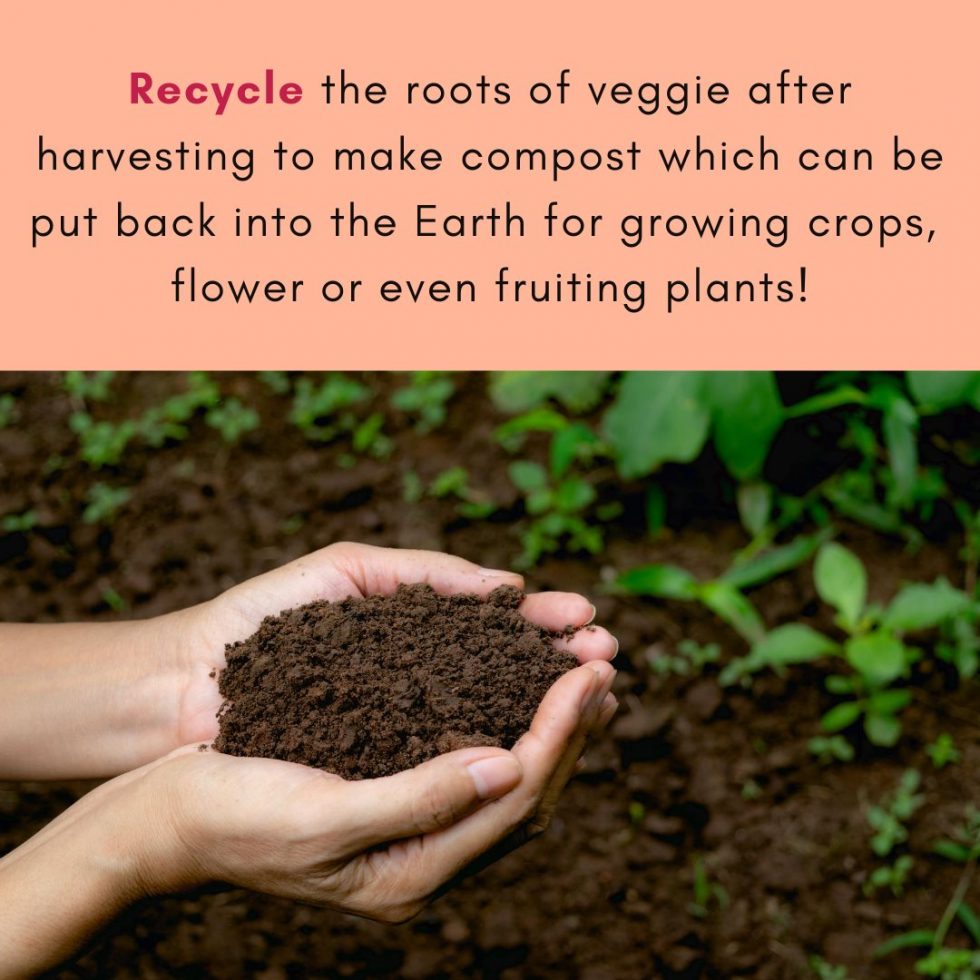 The concept of Recycle in RRR in urban agriculture