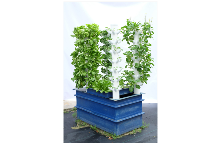 养鱼种菜放在一起！HAVVA140 零农药不换水不浇水，每天5分钟种好菜！