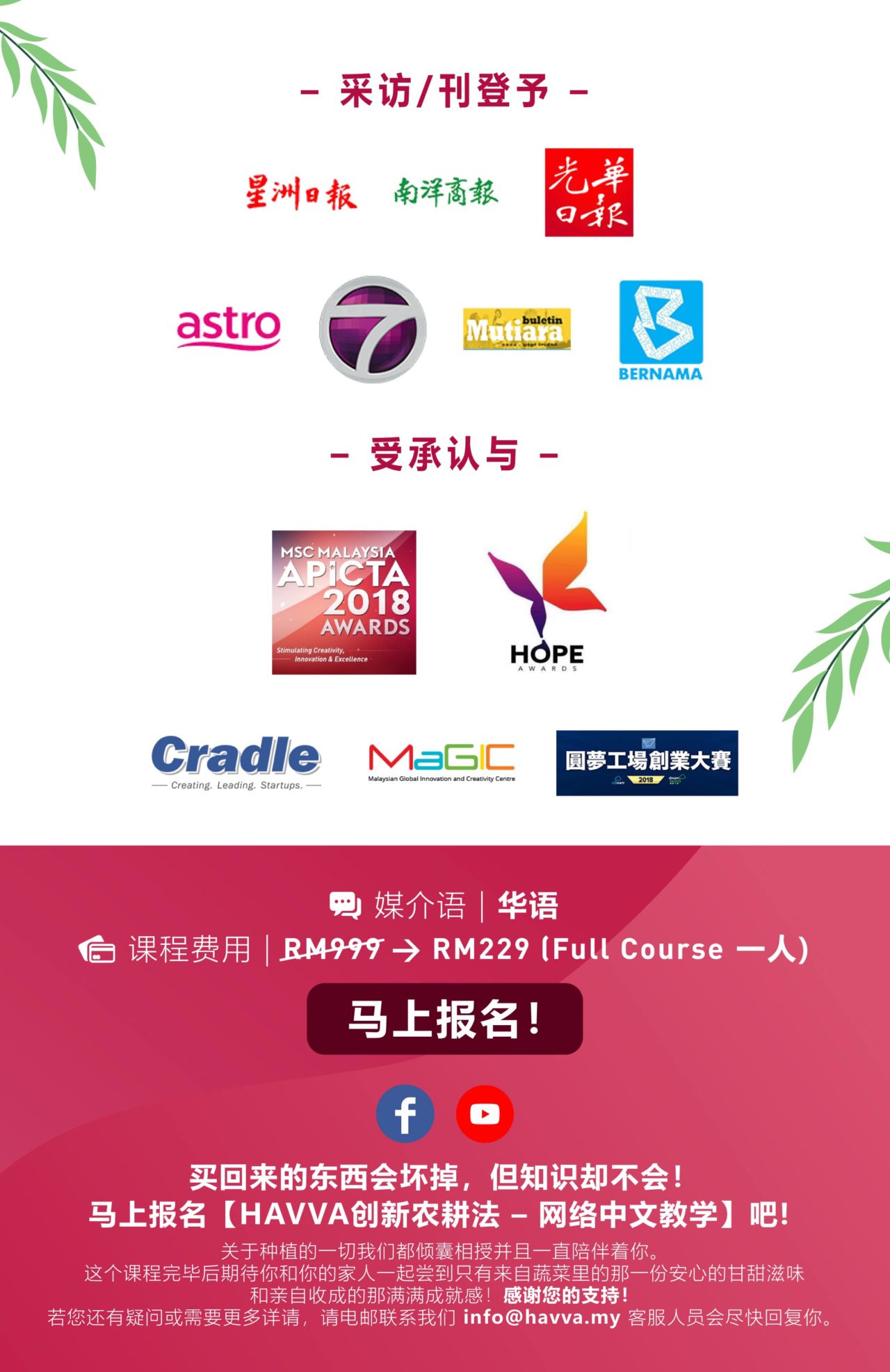 HAVVA 种植教学让你轻松种出自己喜欢的菜！新手老将都不是问题