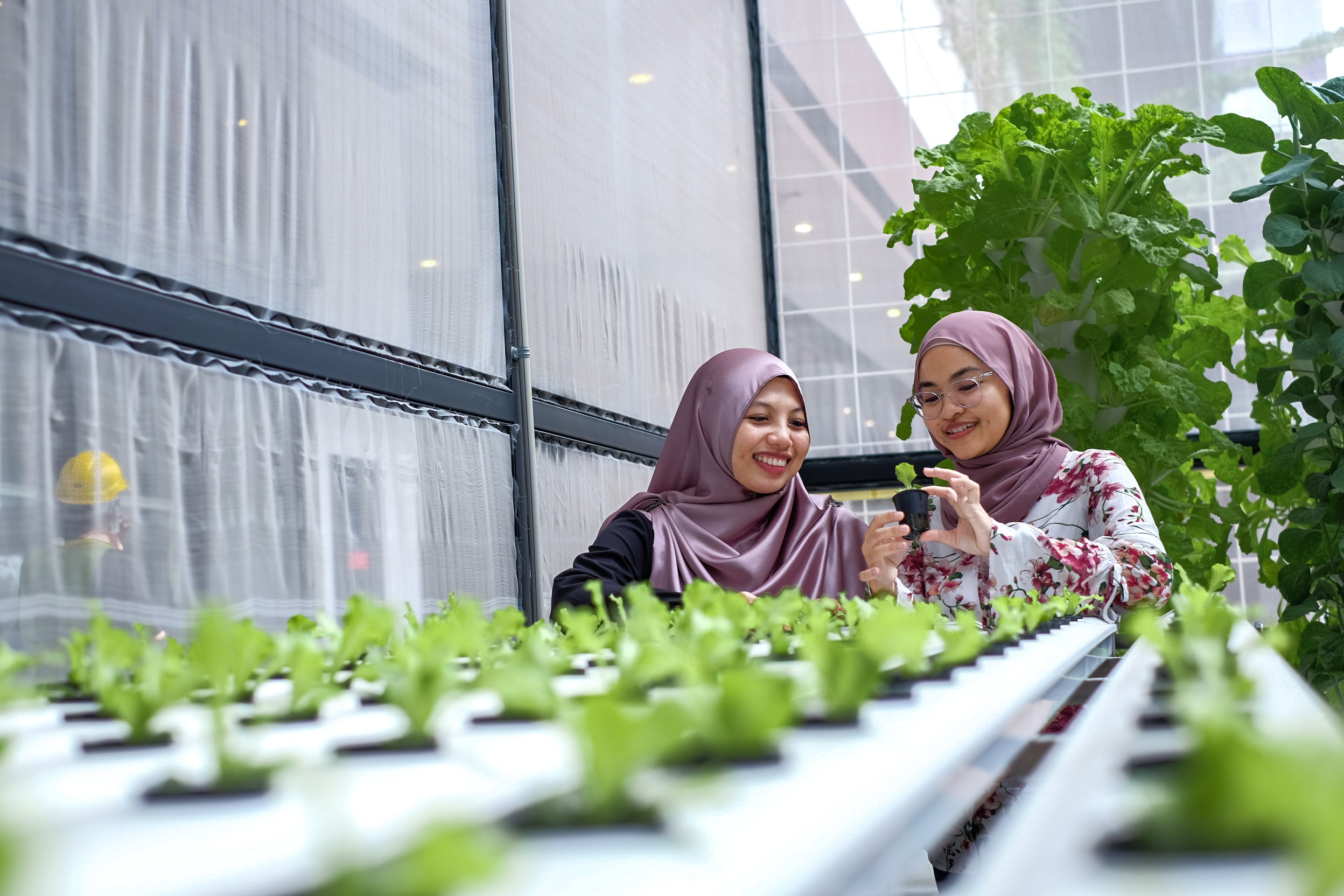 One Day Urban Farmer | Farm Activities For Everyone | Farm By The Quay